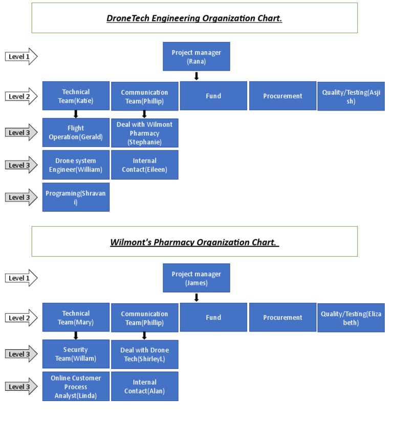 Wilmont's Pharmacy Organization Chart. | PDF