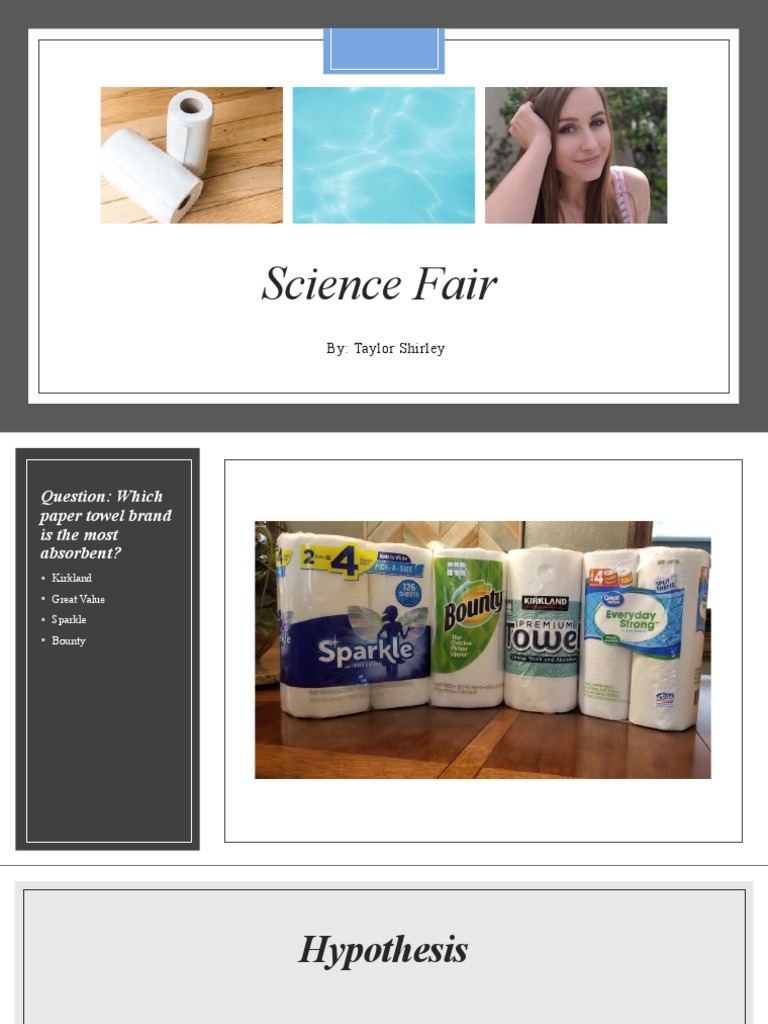 Science Fair Project | PDF