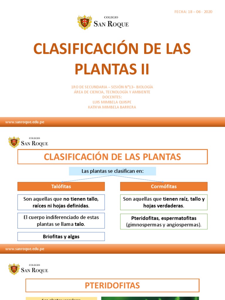 Clasificación de Las Plantas Ii - 1ro de Secundaria | PDF | Plantas ...