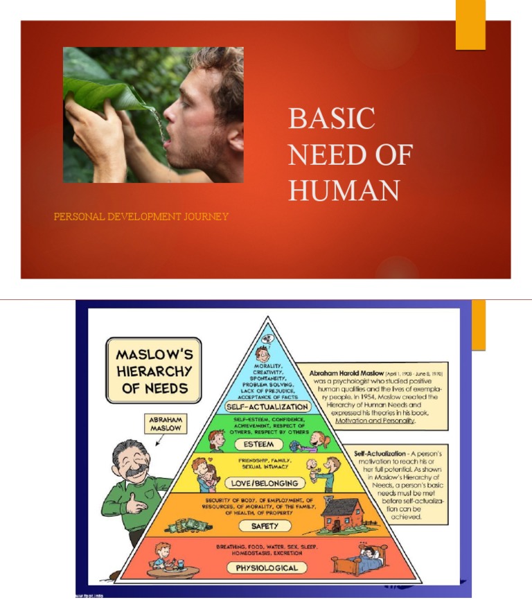 Human Basic Needs | PDF