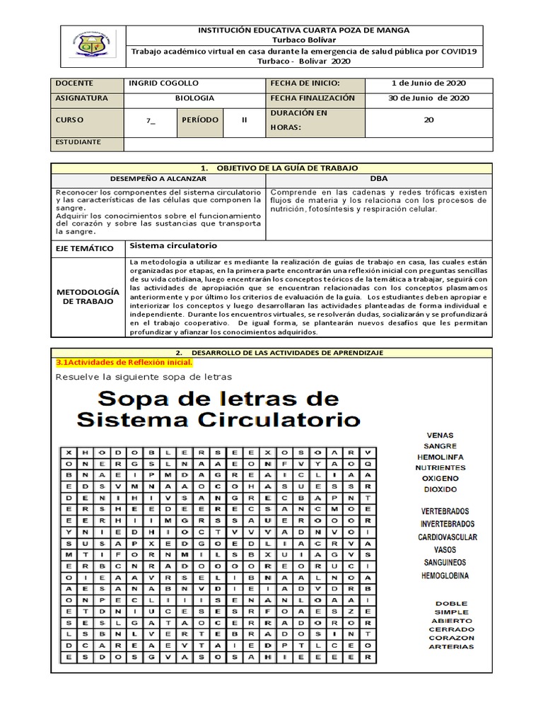 Sistema Circulatorio Guia de Aprendizaje Grado Sexto | PDF | Vena | Corazón