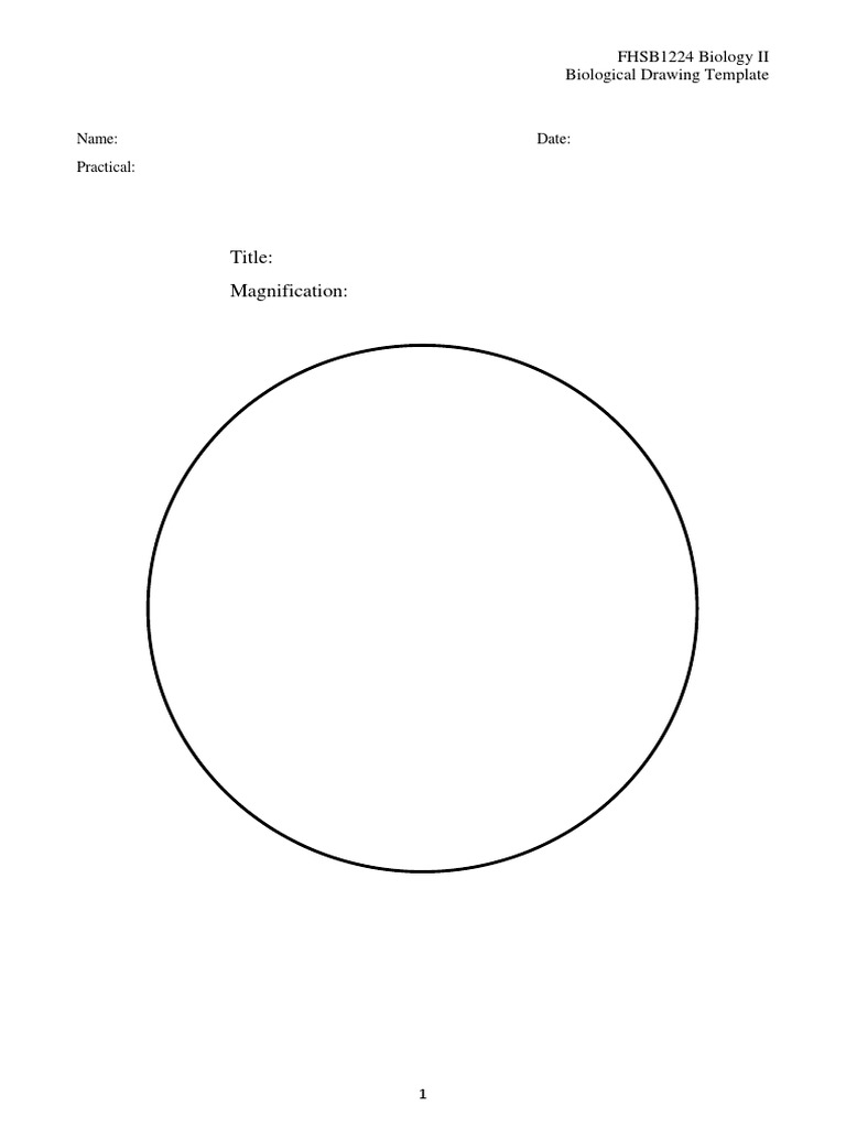Biological Drawing Template Guide | PDF