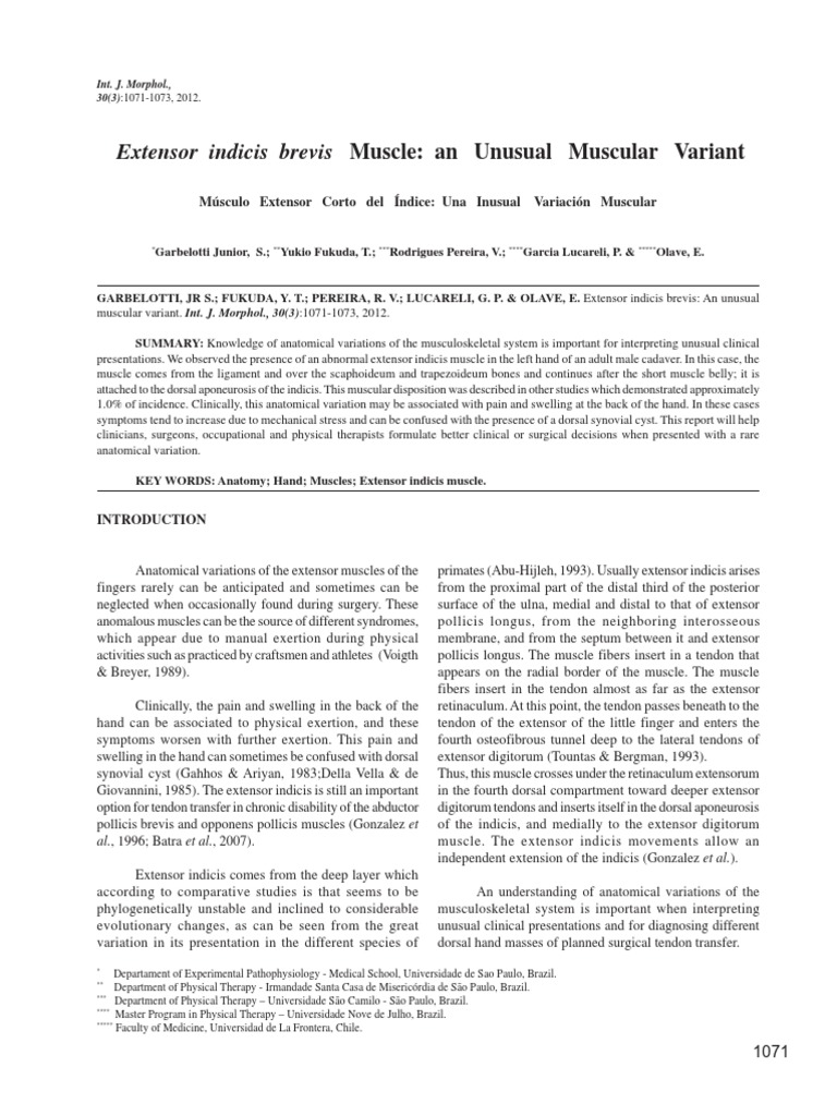 An Unusual Extensor Indicis Brevis Muscle Variant Observed During ...