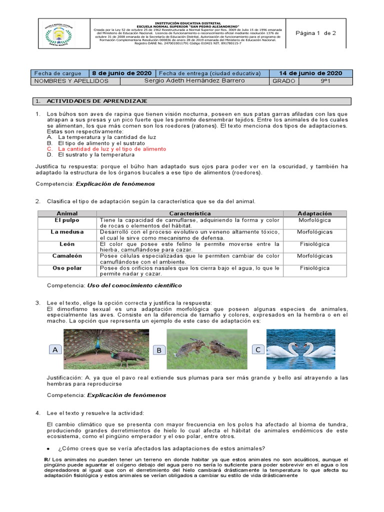 Adaptaciones de Animales y Cambio Climático | PDF | Aves | Oso polar