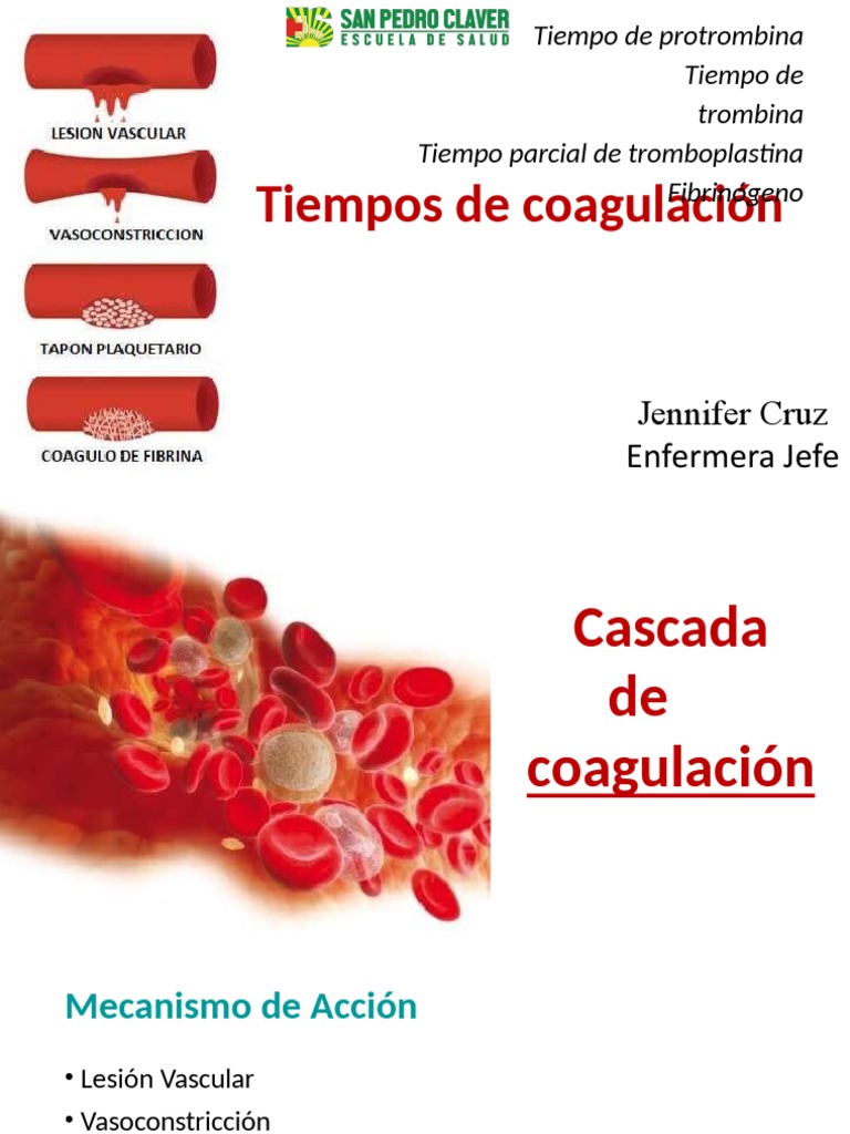 Tiempos de Coagulacion | PDF | Coagulación | Fluidos corporales