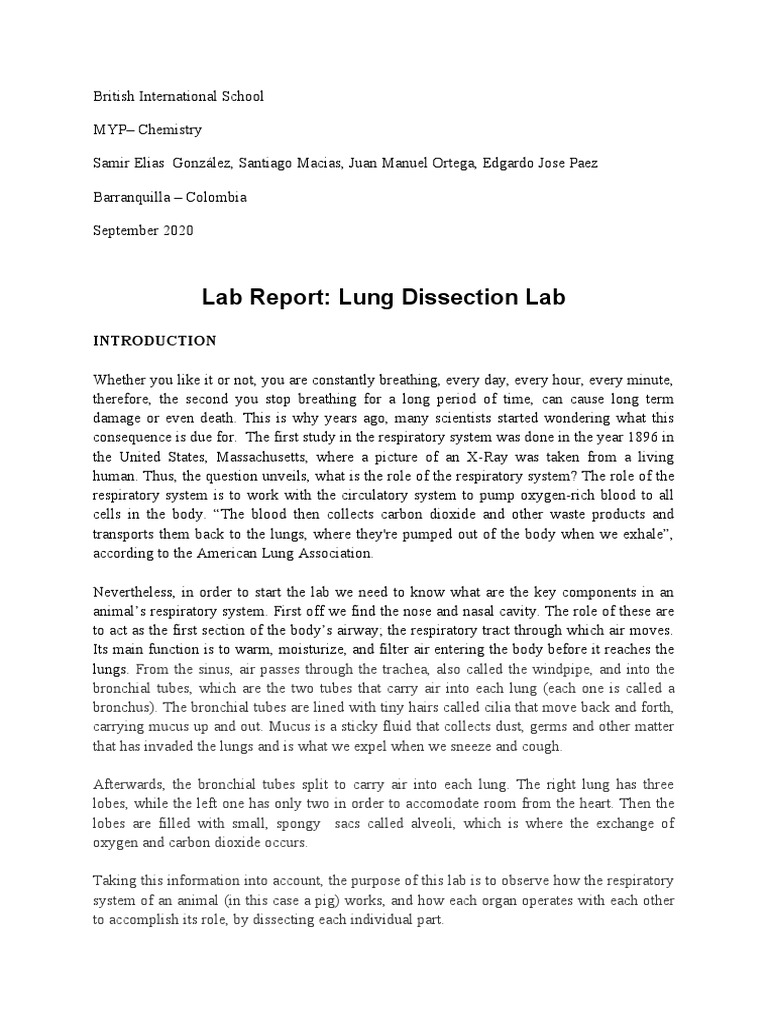 Lung Dissection Lab Report | PDF | Respiratory Tract | Lung