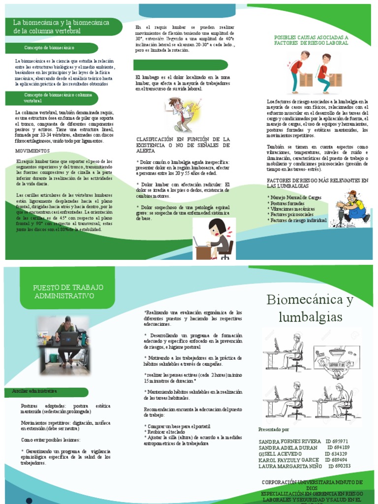 Folleto Act5 | PDF | Dolor lumbar | La columna vertebral