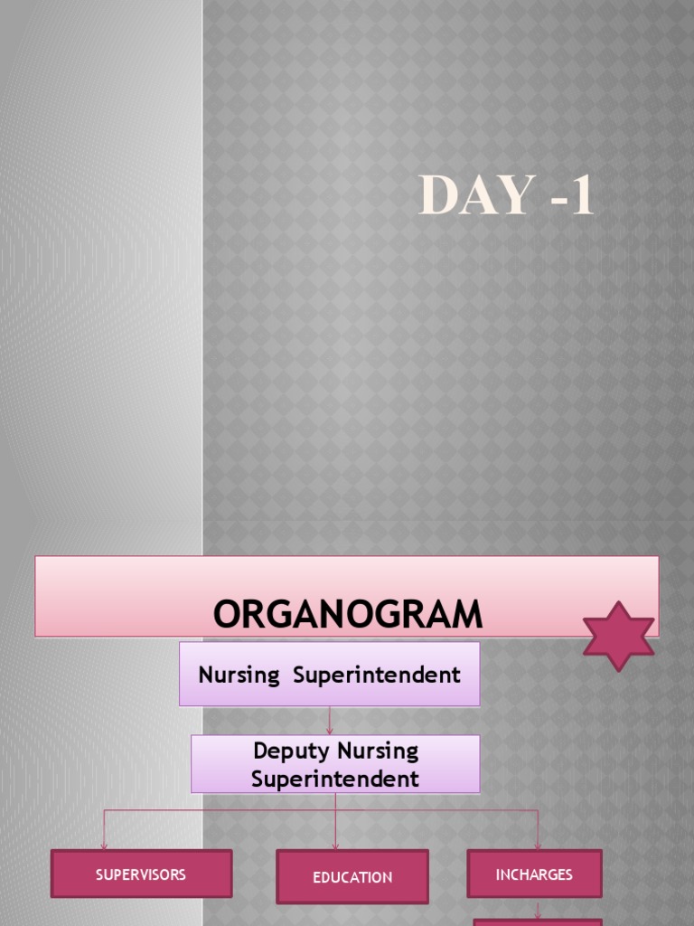 Nursing Induction PPT 2 | PDF | Medical Record | Patient