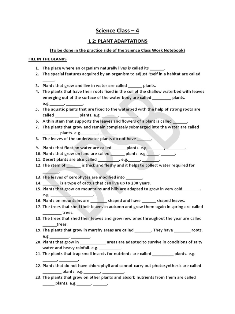 Science Class - 4: L 2: Plant Adaptations | PDF | Leaf | Plants