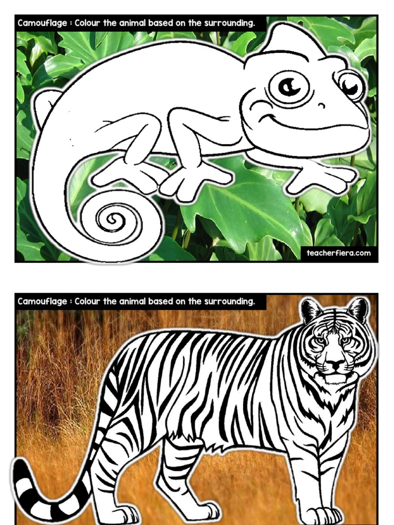 Camouflage: Colour The Animal Based On The Surrounding | PDF