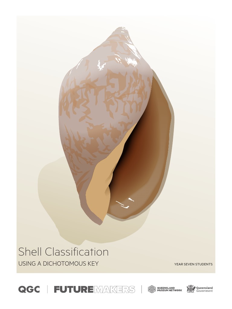 Shell Classification: Using A Dichotomous Key | PDF | Bivalvia | Mollusca