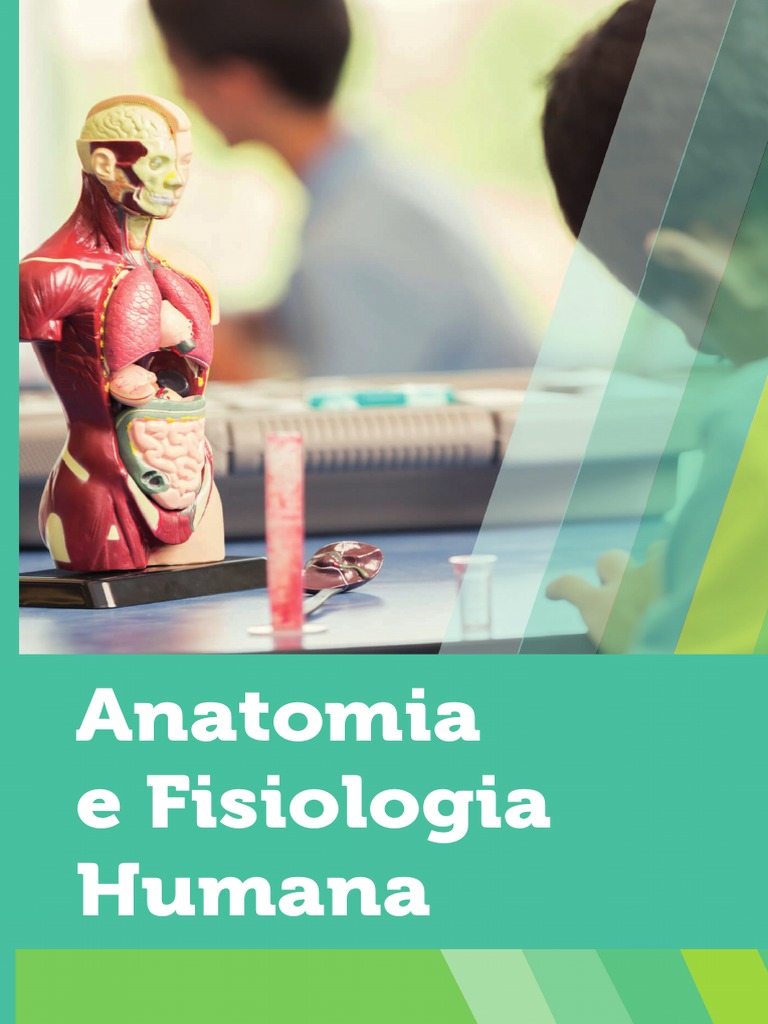 Anatomia e Fisiologia PDF | PDF | Esqueleto | Osso