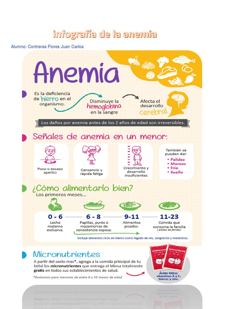 Infografia Sobre La Anemia | PDF