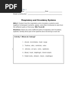 Grade 9 Respiratory System Activities | PDF | Respiratory Tract ...
