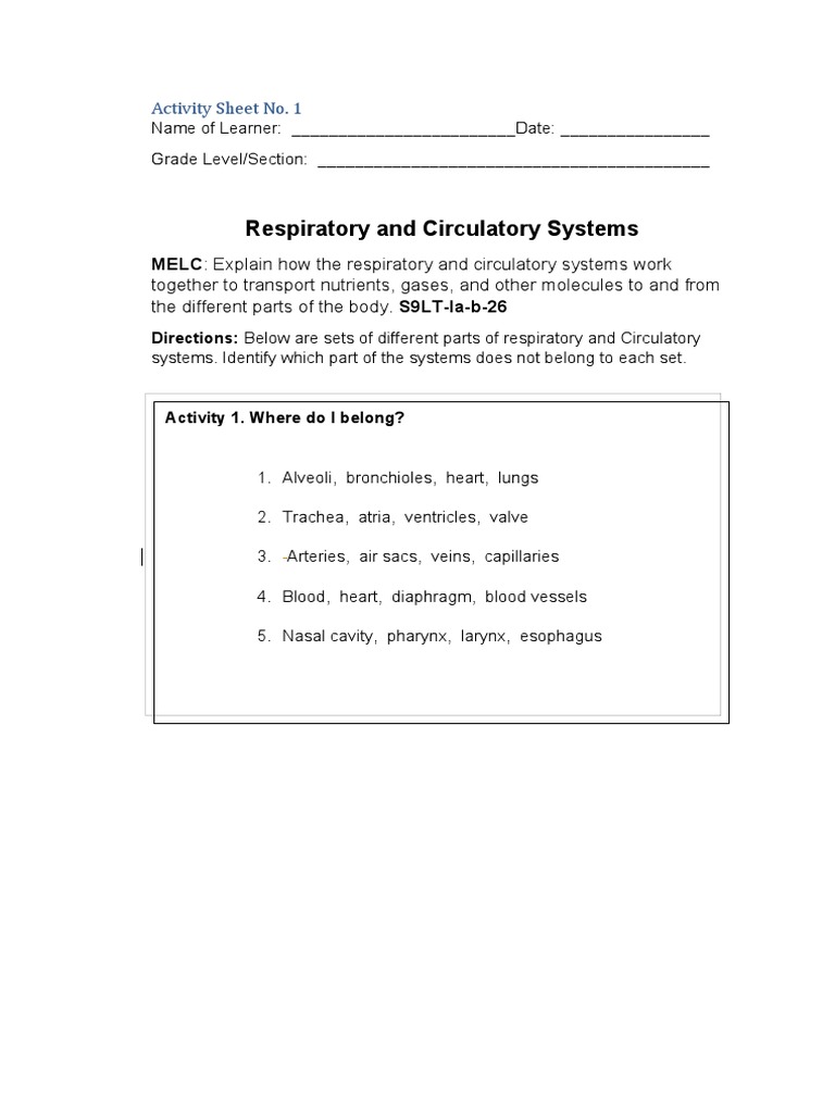 Respiratory and Circulatory Systems: Activity Sheet No. 1 | PDF ...