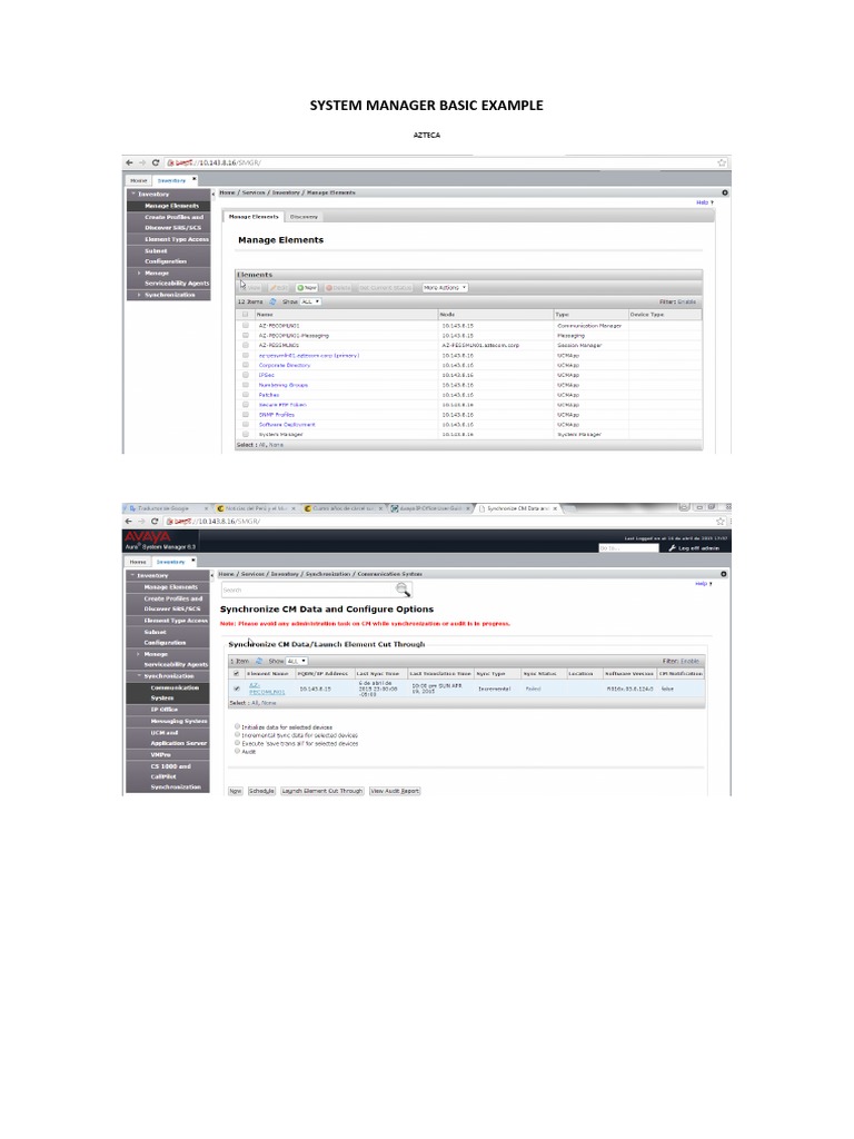 System Manager Basic Example | PDF
