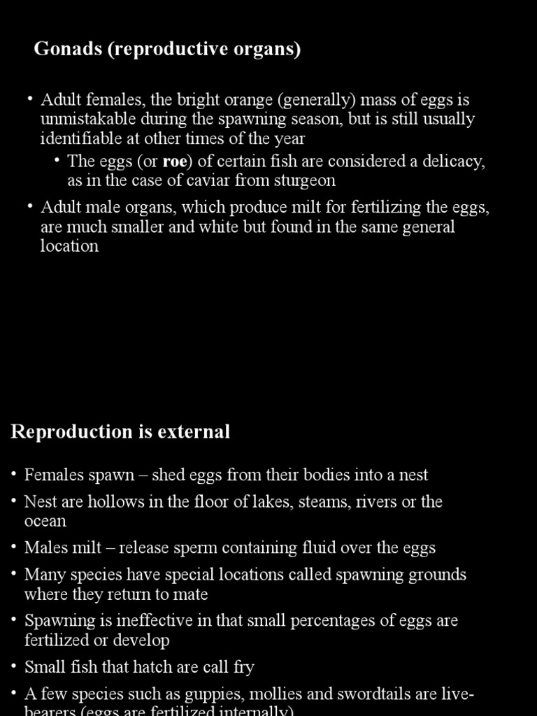 Gonads (Reproductive Organs) | PDF | Spawn (Biology) | Gill