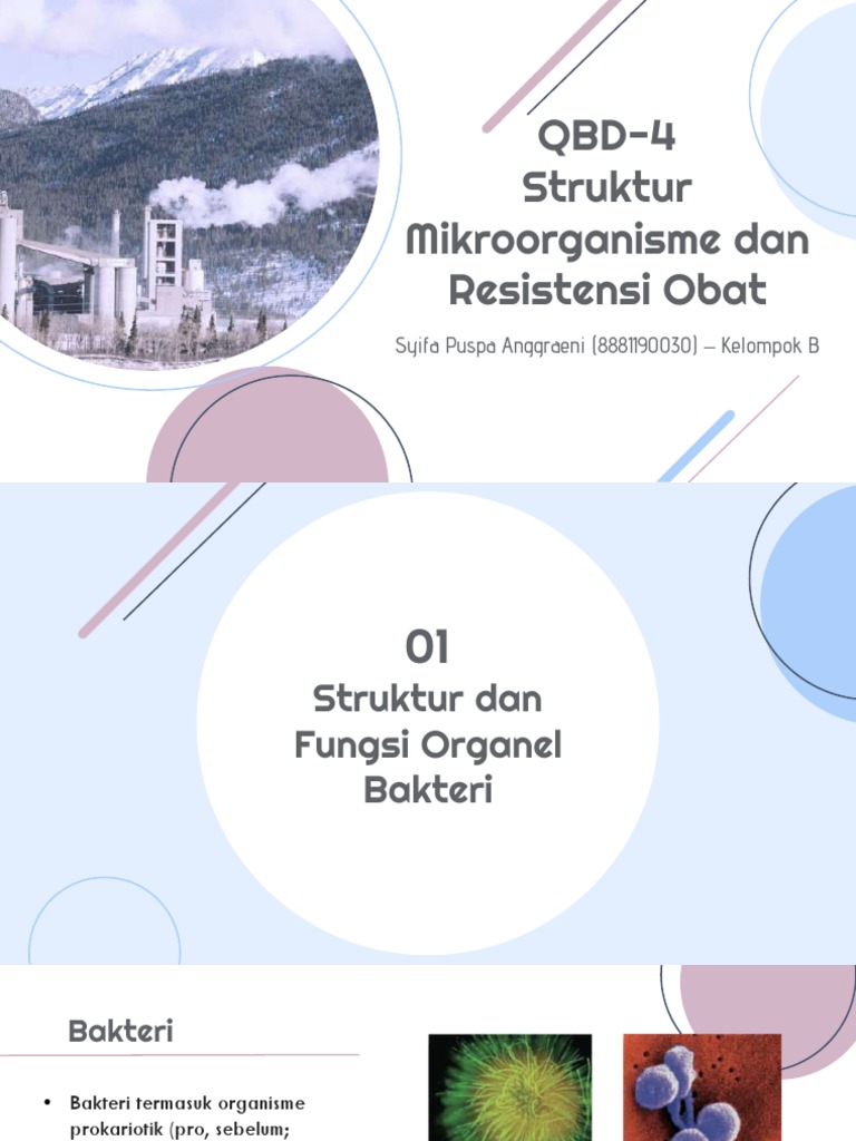 Kelompok B QBD 4 SGBM | PDF