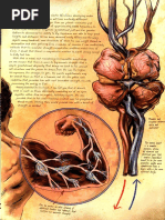 Anatomy of A Metahuman 05 Martian Manhunter | PDF