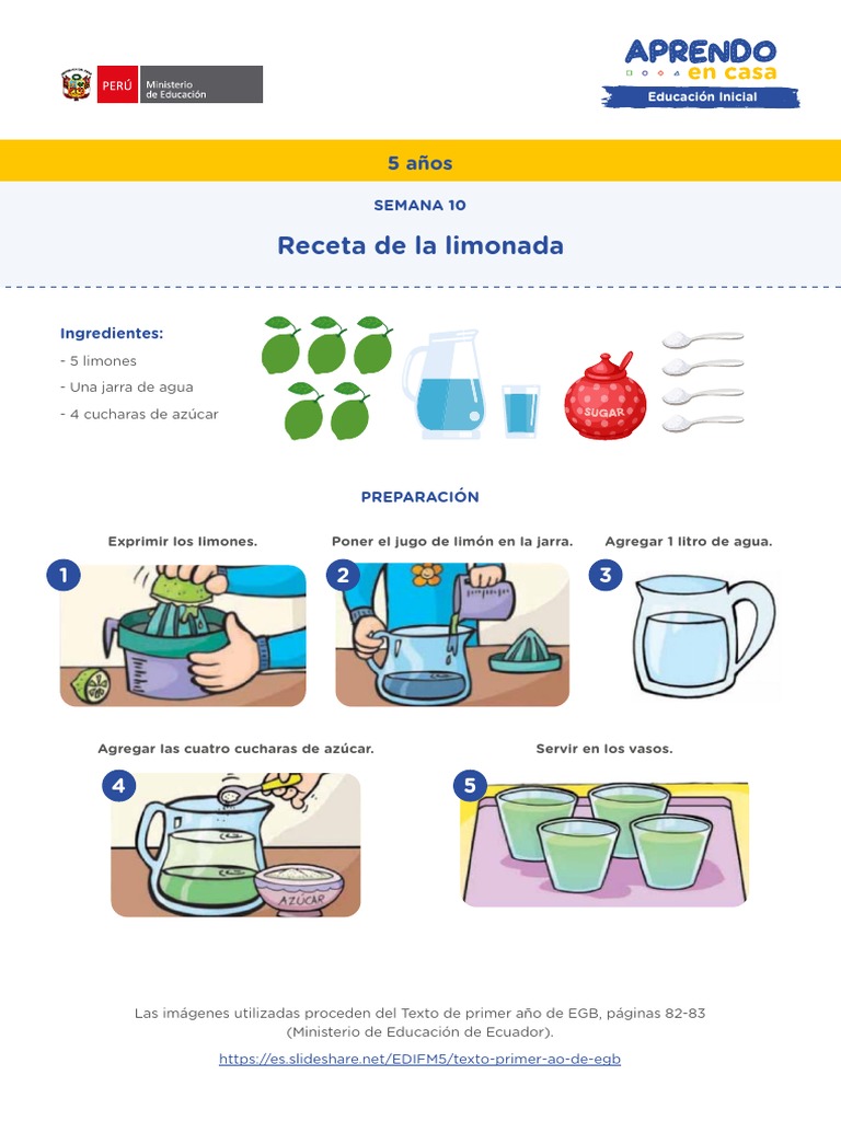 Receta De La Limonada Pdf