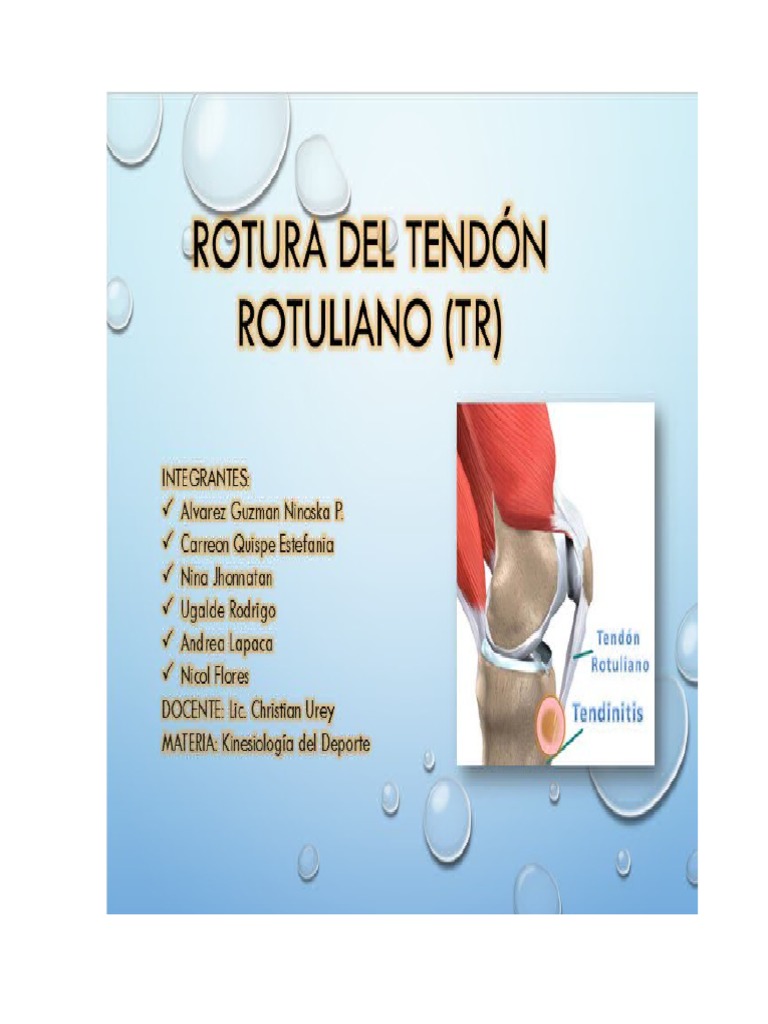 Rotura Del Tendón Rotuliano | PDF | Rodilla | Articulaciones