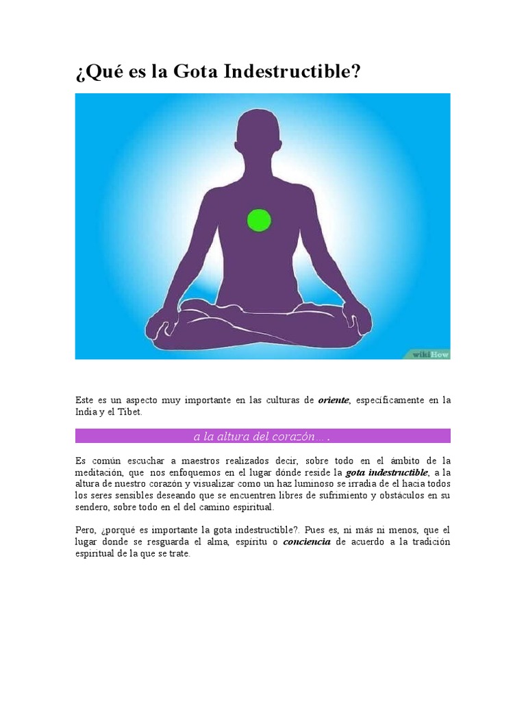 Qué Es La Gota Indestructible | PDF | Gautama Buddha | Alma