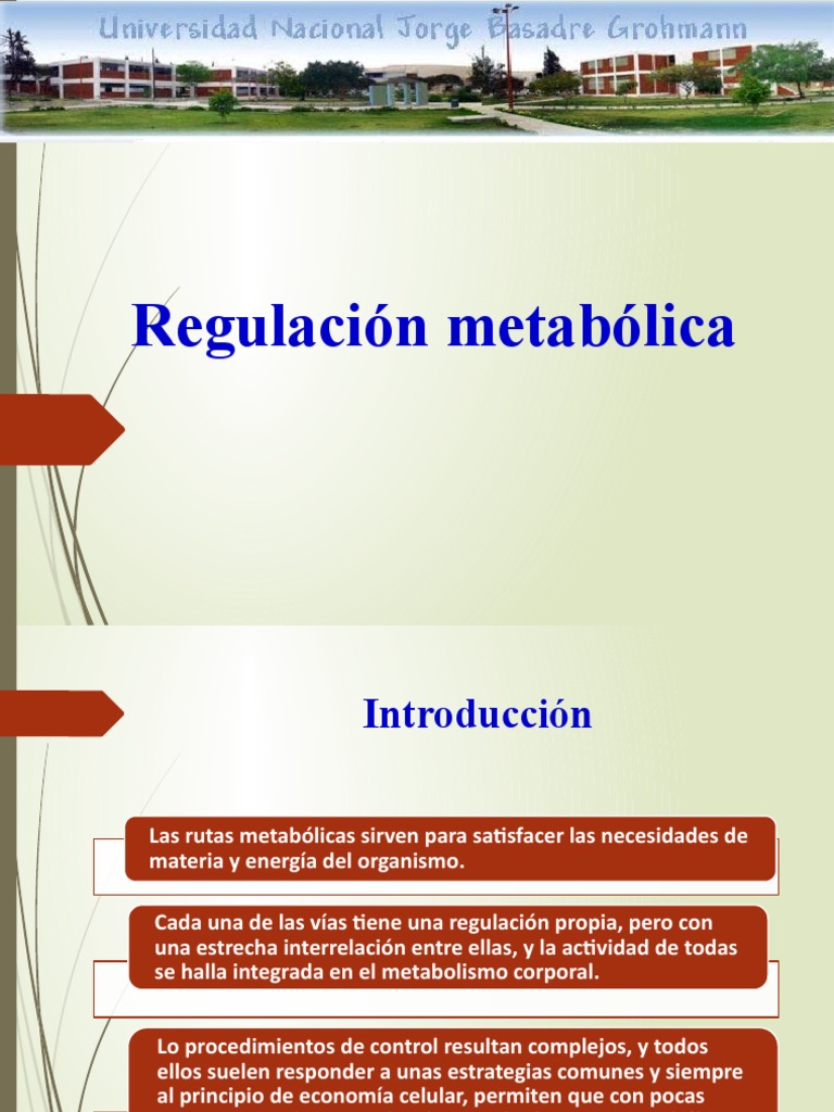 02A Regulación Metabólica | PDF | Metabolismo | Tejido adiposo