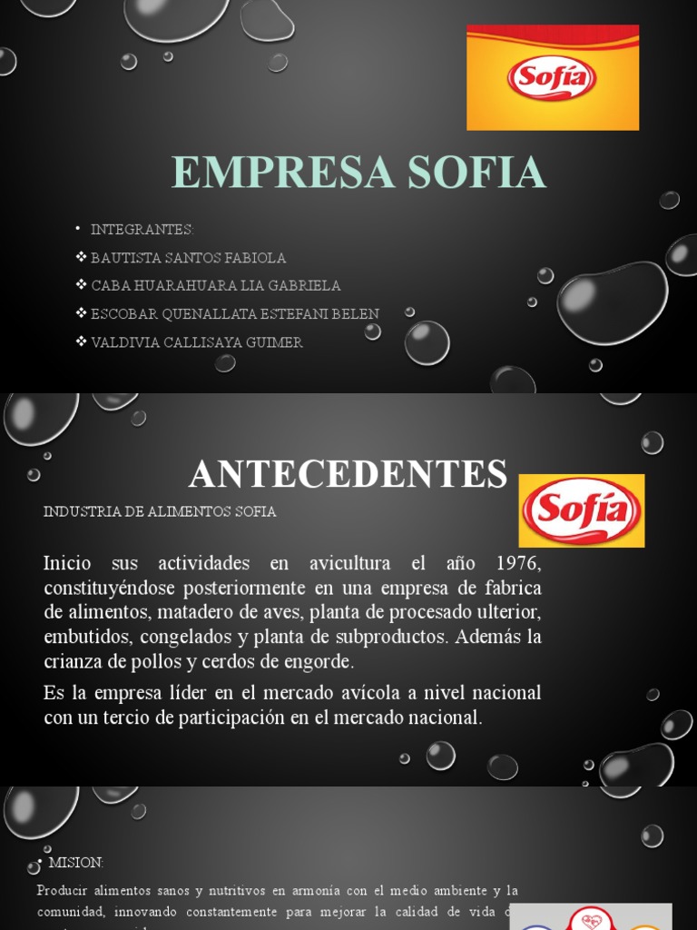 EMPRESA SOFIA Final | PDF | Presupuesto | Marketing