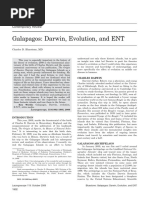 AdaptationsWorksheetEaselActivityPrintablePDF-2 | PDF | Adaptation ...