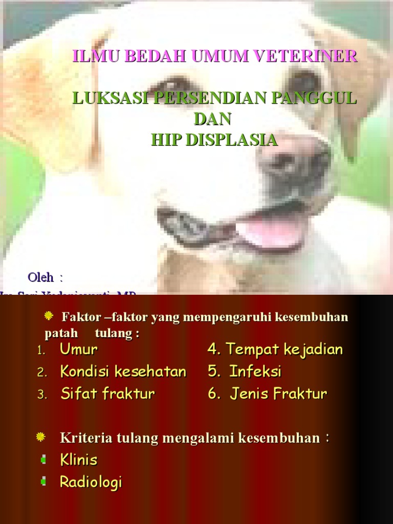 Bedah Panggul Veteriner | PDF