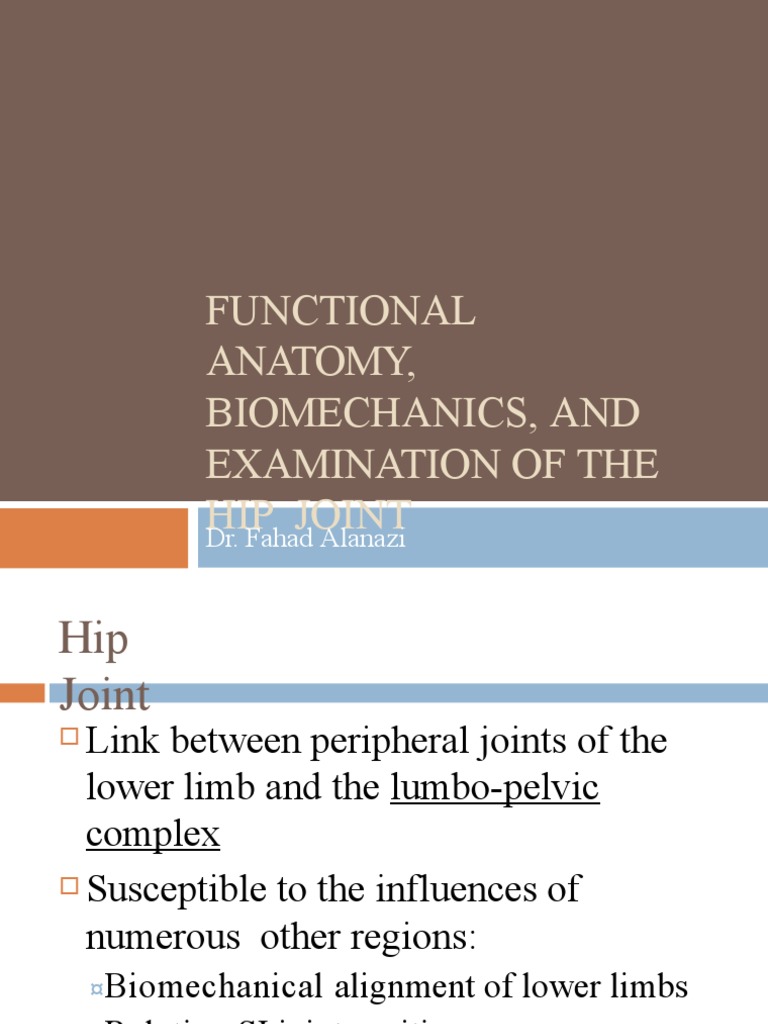 Hip Joint Anatomy and Biomechanics Guide | PDF | Hip | Anatomical Terms ...