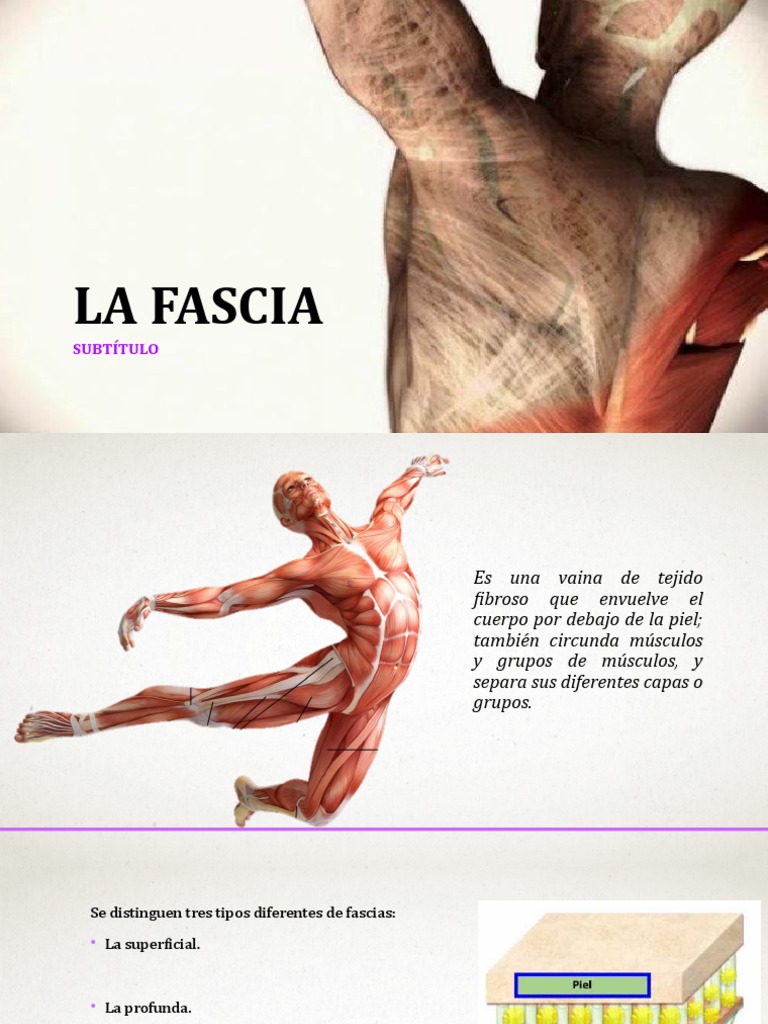 La Fascia | PDF
