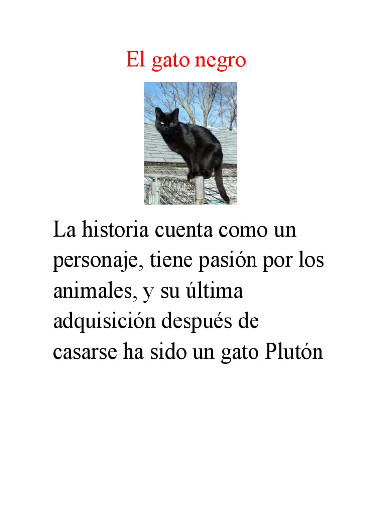 El Gato Negro | PDF