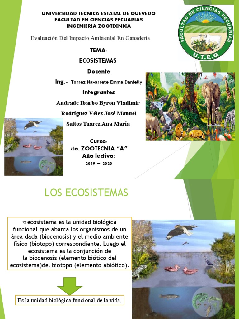 Impacto Ambiental en Ecosistemas | PDF | Ecosistema | Habitat