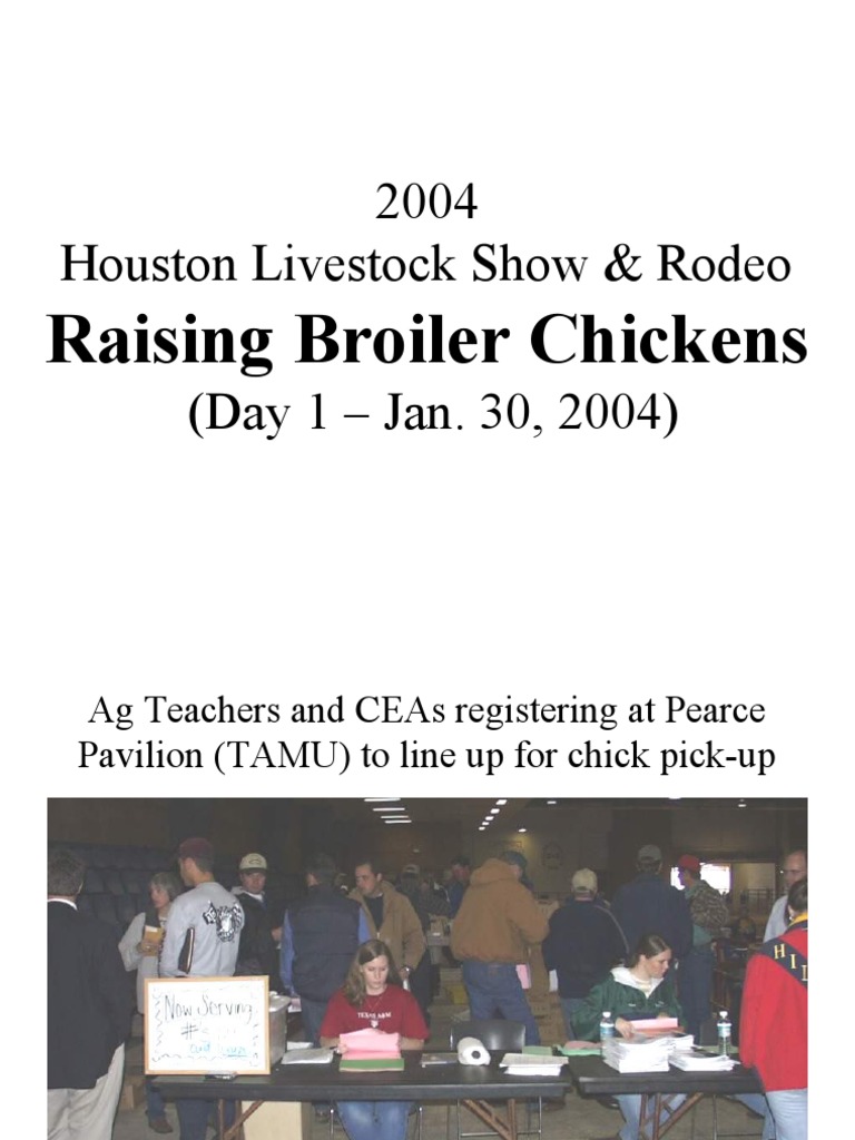 Day 1-44 Broiler Program | PDF | Broiler | Chicken