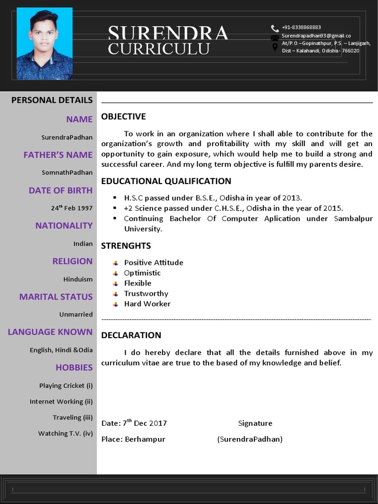 Surendra Resume | PDF