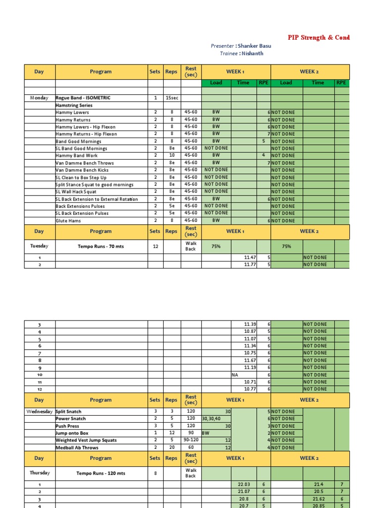 PIP Training Program - I | PDF | Human Anatomy | Dance Science