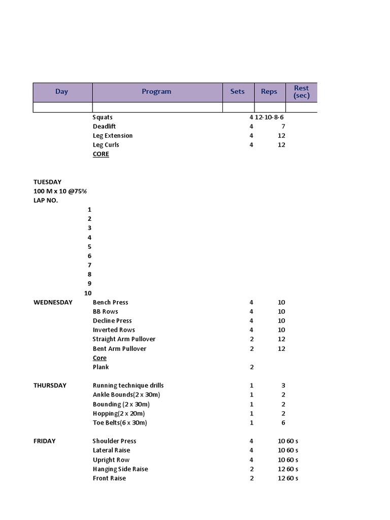 PIP Training Program - II | PDF | Knee | Physical Exercise