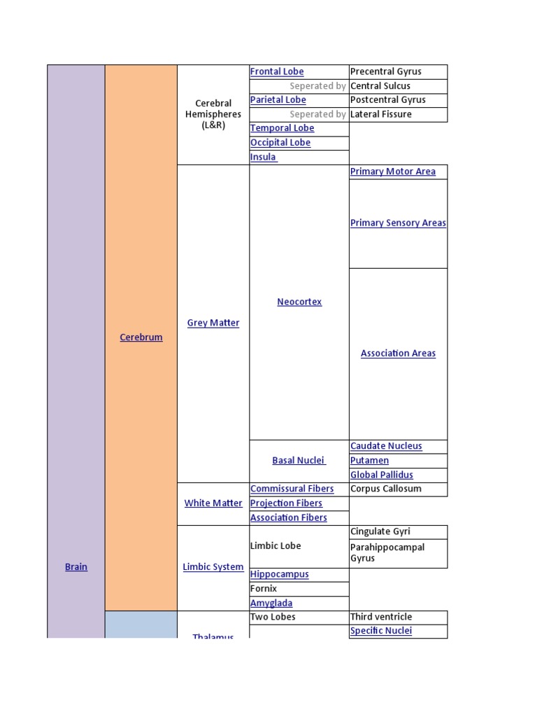 Brain Flow Chart | PDF | Brainstem | Cerebral Cortex