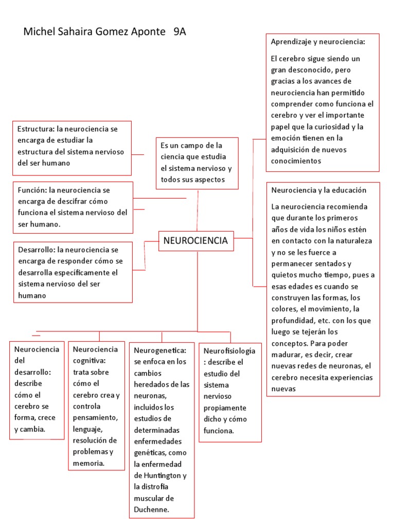 Introducción a la Neurociencia | PDF | Neurociencia | Cerebro