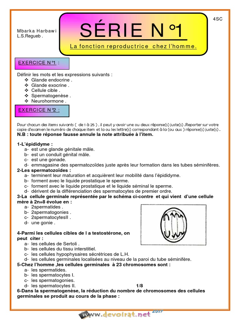La reproduction humaine au bac science | PDF | Système endocrinien ...