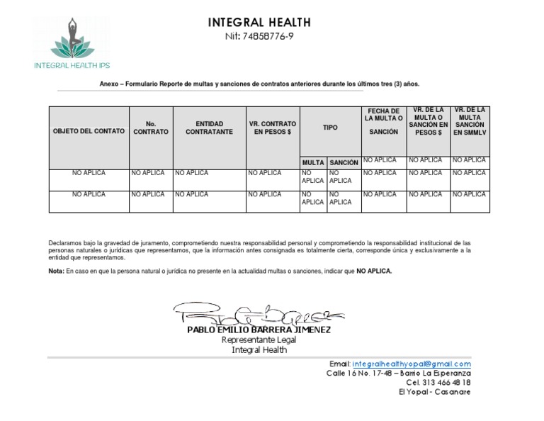 5 Anexo - Formato Reporte Multas y Sanciones | PDF | Gobierno | Justicia
