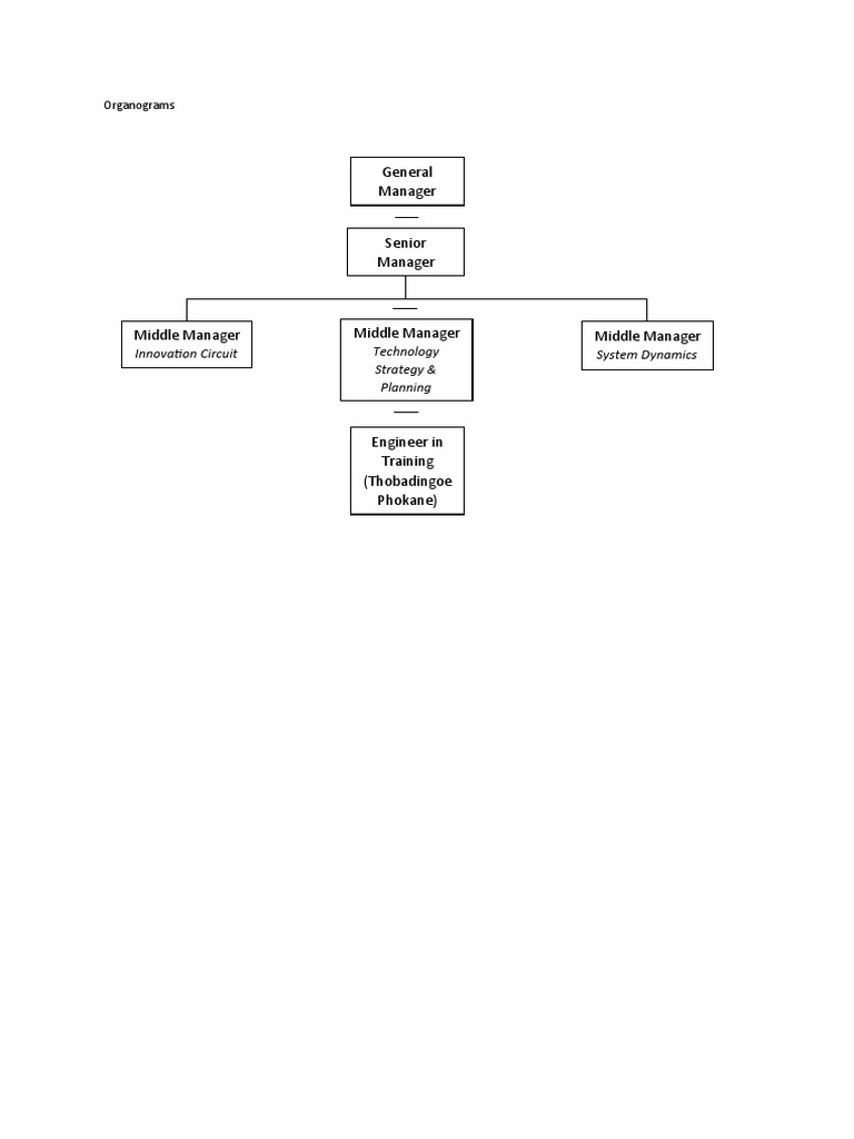 Organogram for Management Structure | PDF | Computers