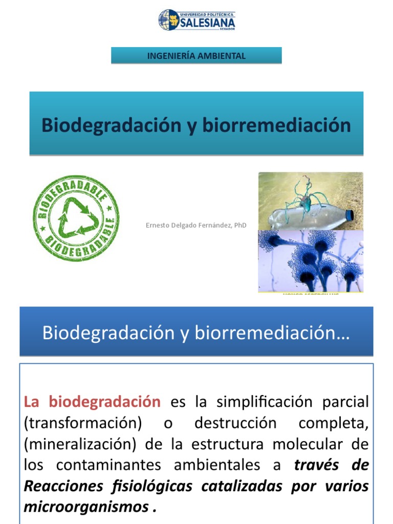 BIODEGRADACIÓN Y BIOREMEDIACIÓN | PDF | Biodegradación | Suelo