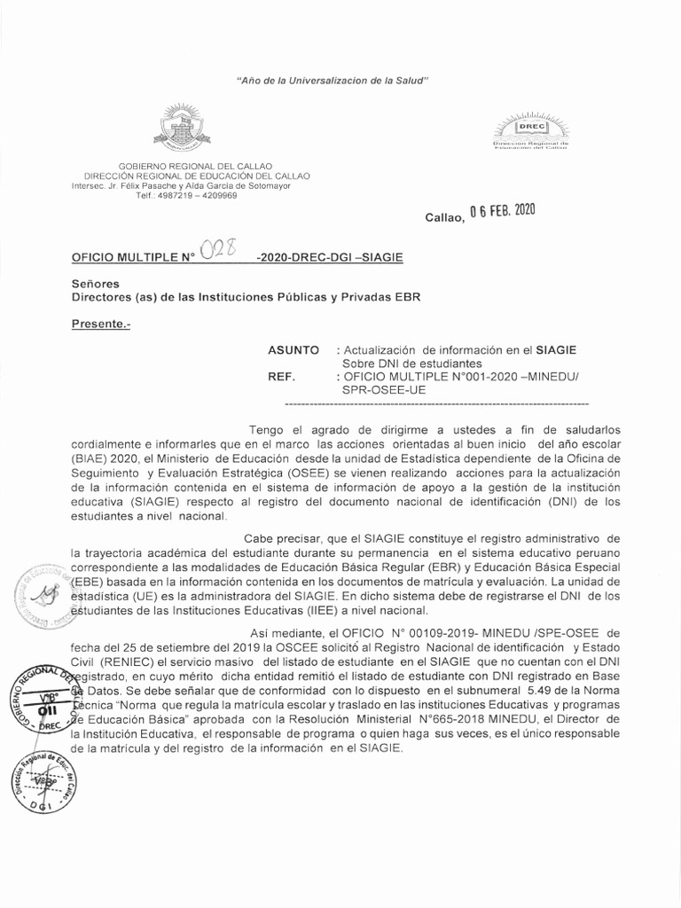 Oficio Multiple N 028 2020 Drec Dgi Siagie | PDF