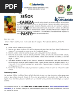 Muñeco Cabeza de Pasto | PDF | Plantas | Agricultura