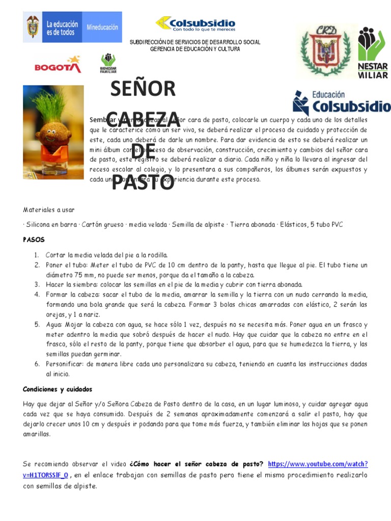 Instrucciones para hacer un Señor Cabeza de Pasto | PDF | Agua | Naturaleza