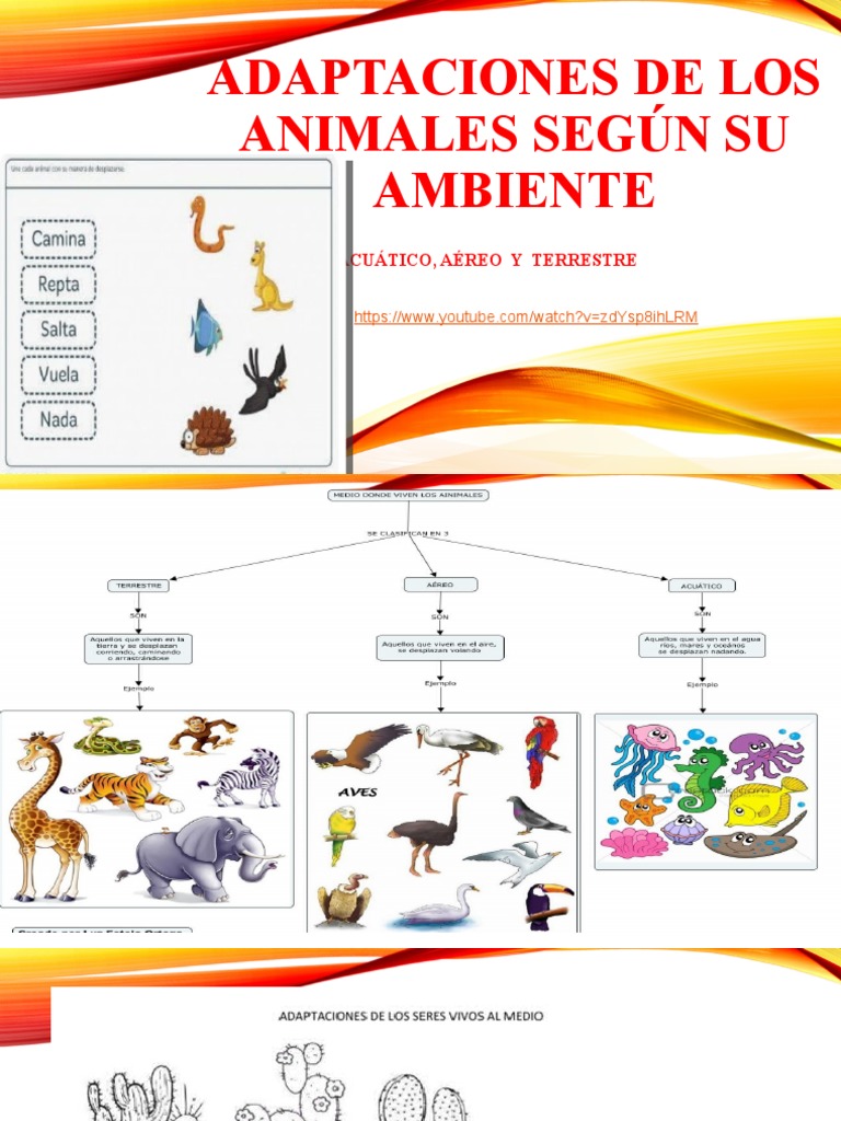 Adaptaciones de Los Animales Según Su Ambiente SEM. 17 | PDF