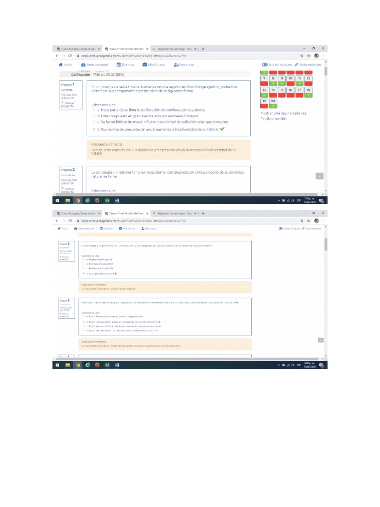 Examen Ecologia Ecci | PDF