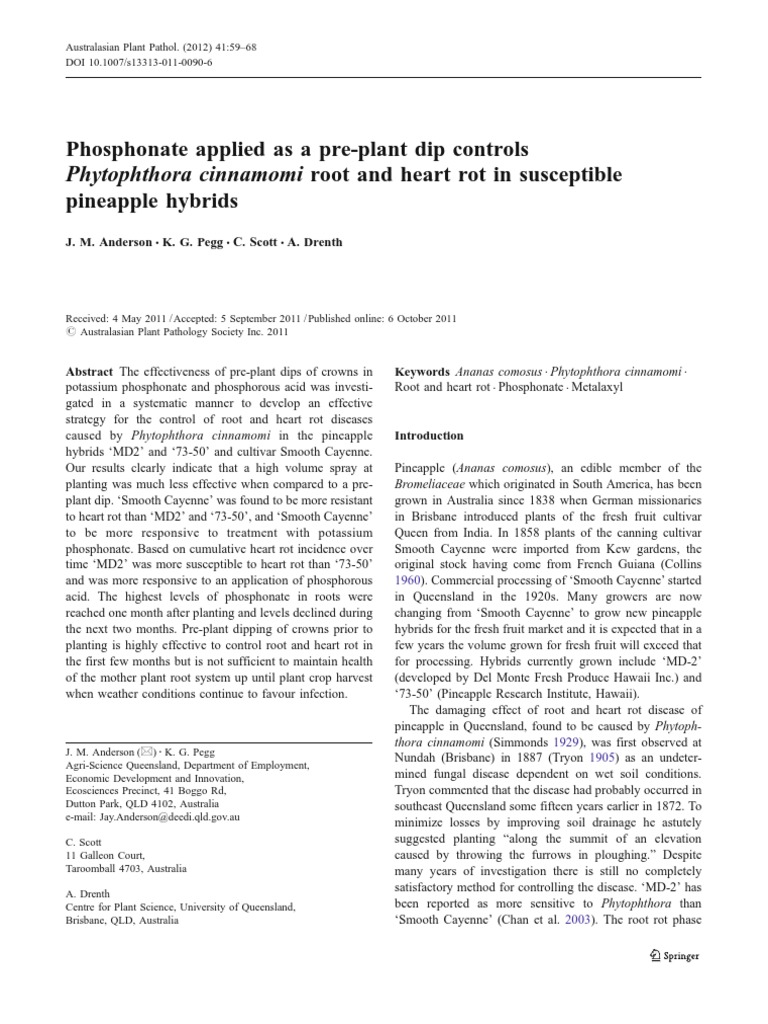 Phosphonate Applied As A Pre-Plant Dip C PDF | PDF | Pineapple | Root